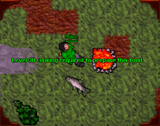 Exoria74 — Best Retro Tibia 7.4 & Oldschool 2D MMORPG Server